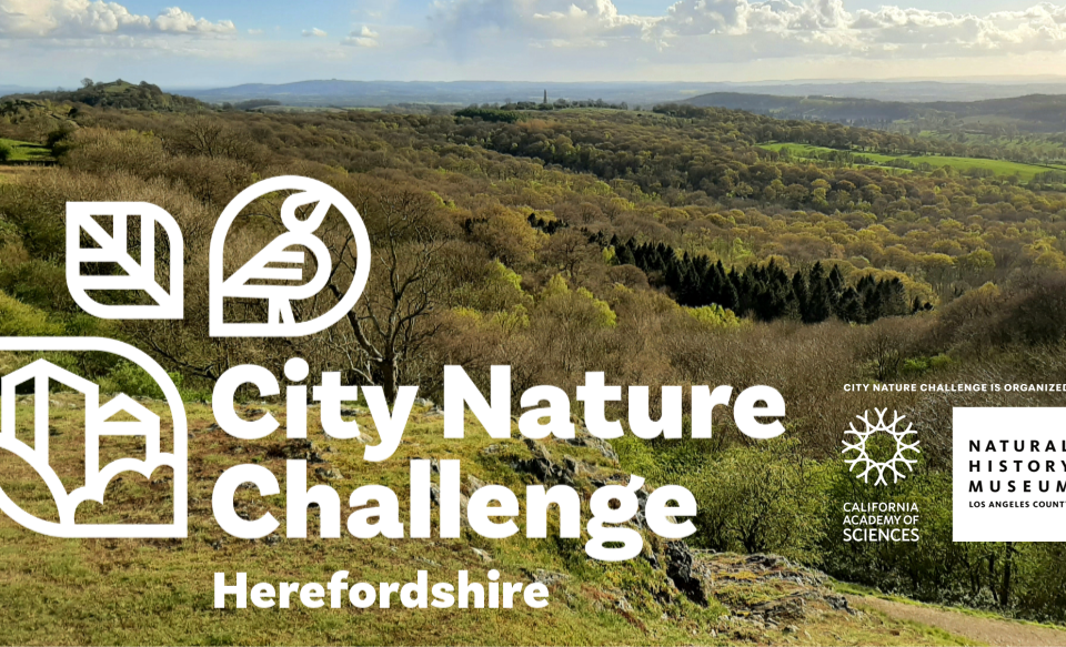 Herefordshire Biological Records Centre – HBRC